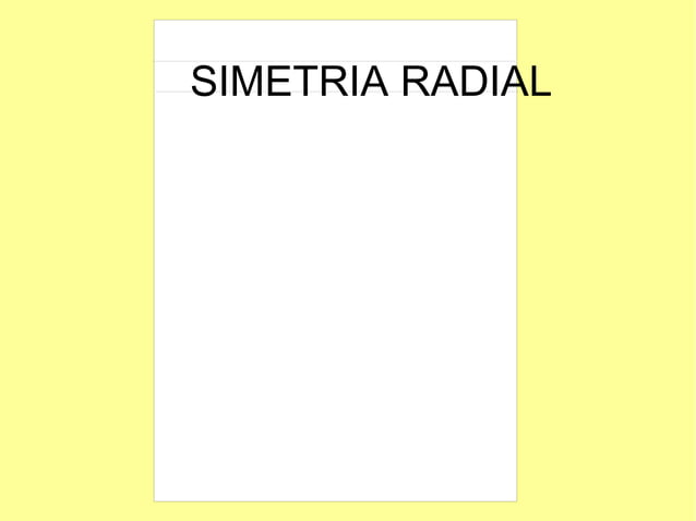 Simetria radial | PPT