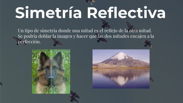 Simetria teoria del d. | PDF | Drawing and Sketching | Arts and Crafts