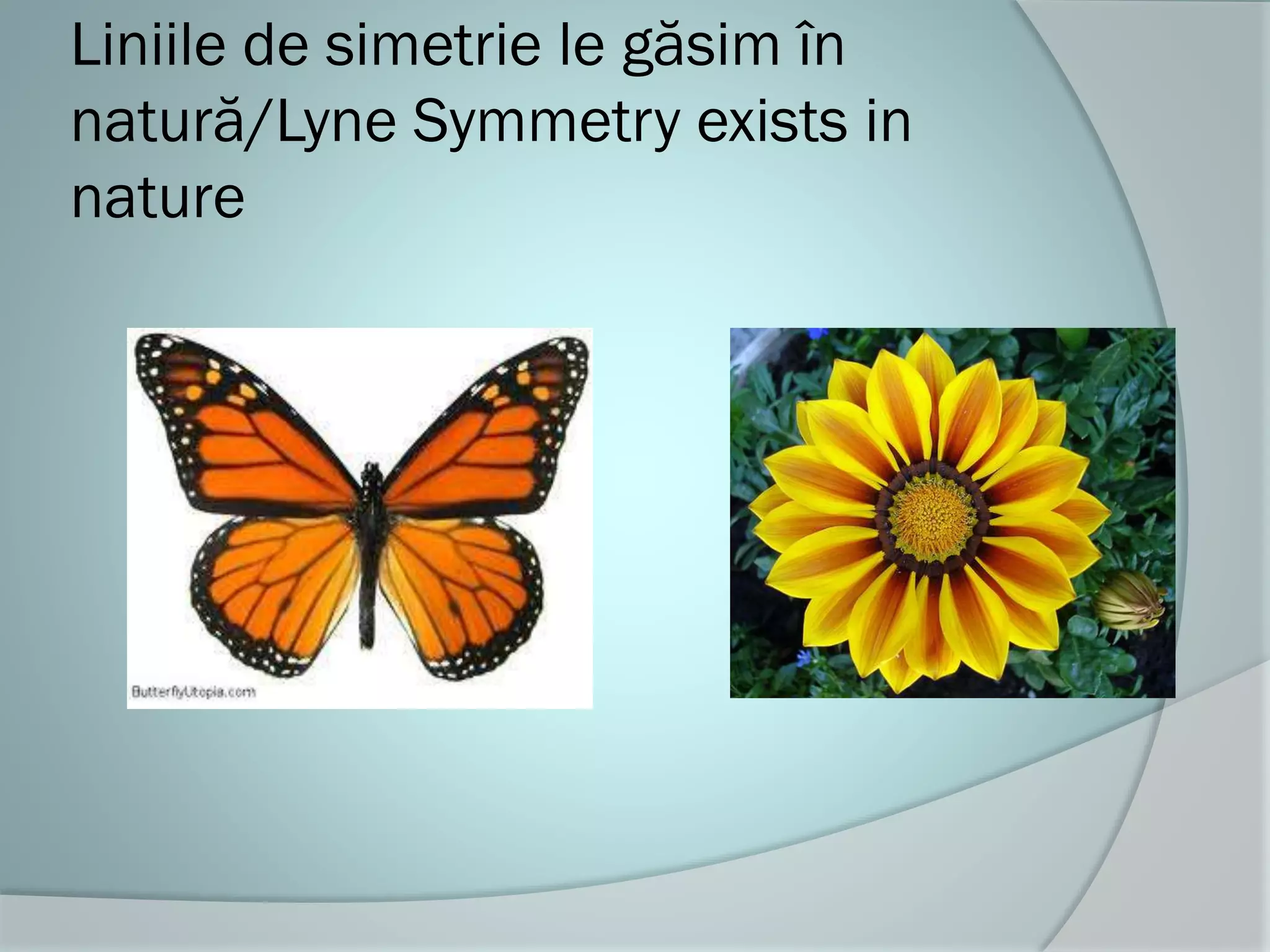 Simetrie/Symmetry | PPTX