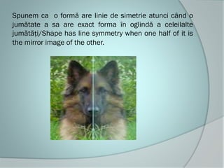 Simetrie/Symmetry | PPTX