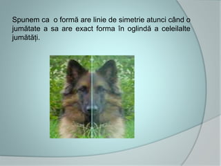 Simetrie | PPTX