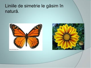 Simetrie | PPTX