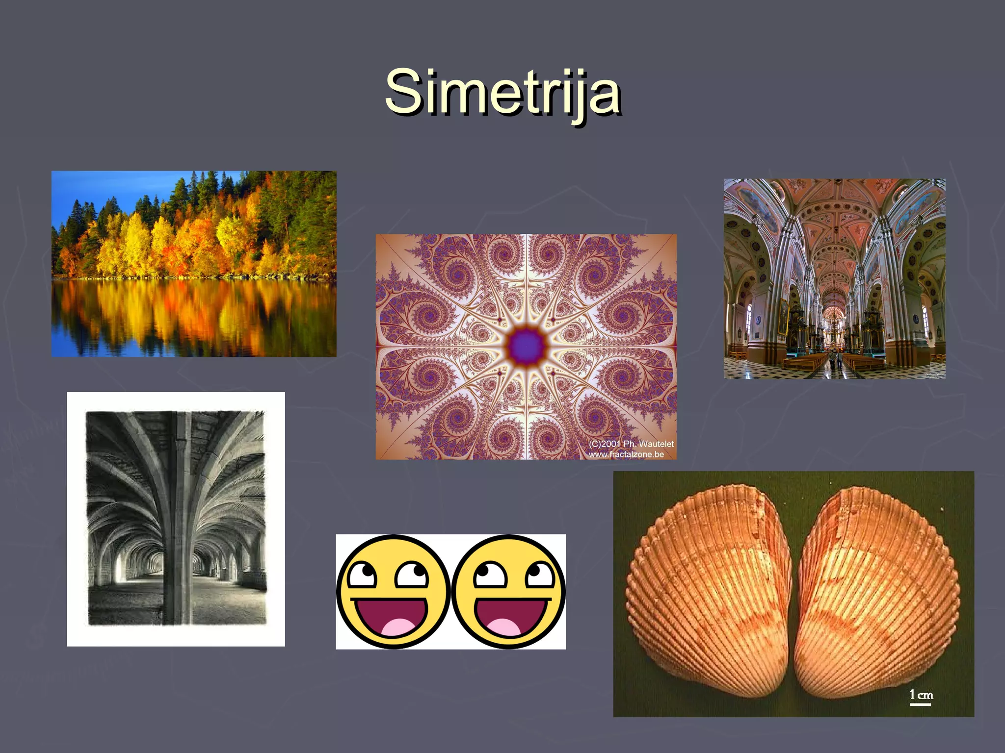 Simetrijonkotryna | PPT