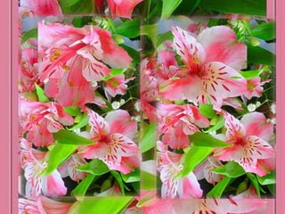 Simfonia Florilor | PPSX