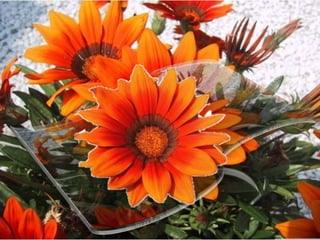 Simfonia Florilor | PPSX