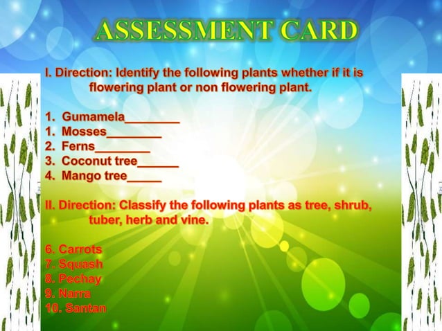 Sim gr3 plants SIM | PPTX | Gardening | Home & Garden