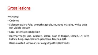Simian haemorrhagic fever - SHF | PPT
