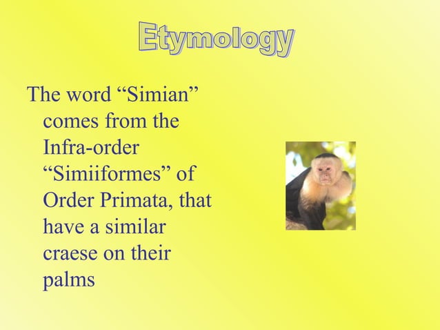 Simian line/crease | PPT