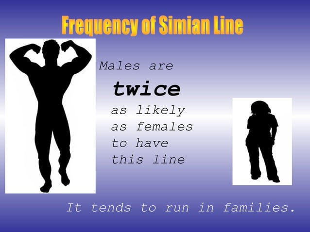 Simian line/crease | PPT