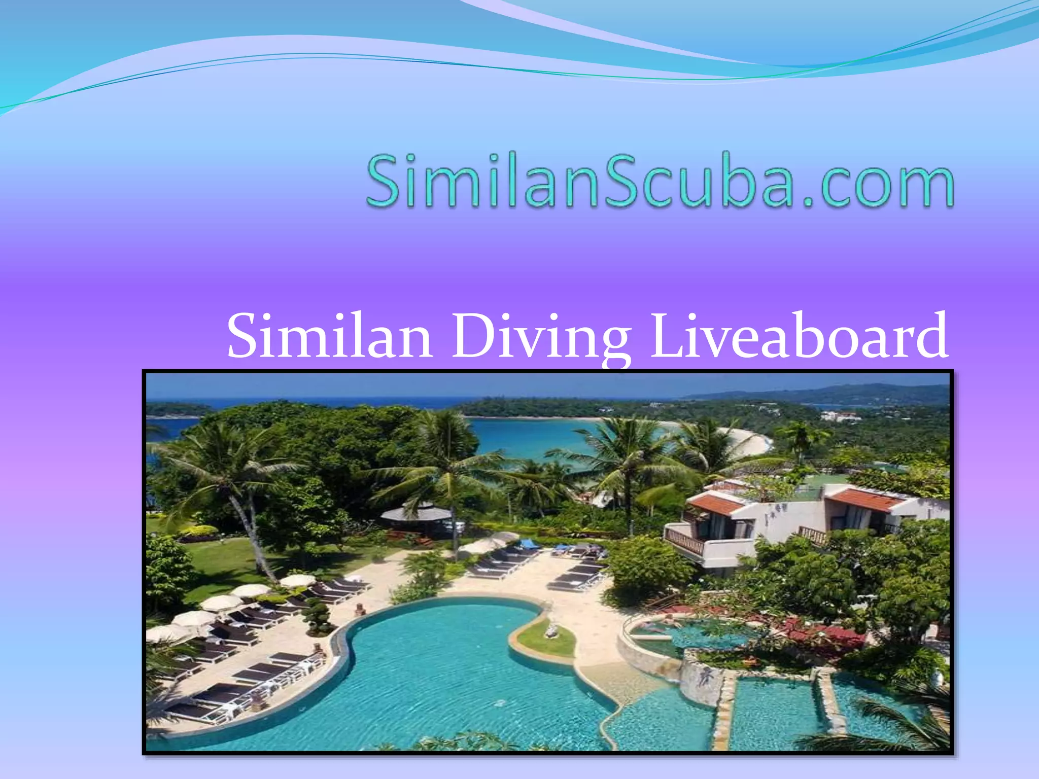 Similan Diving Liveaboard | PPT