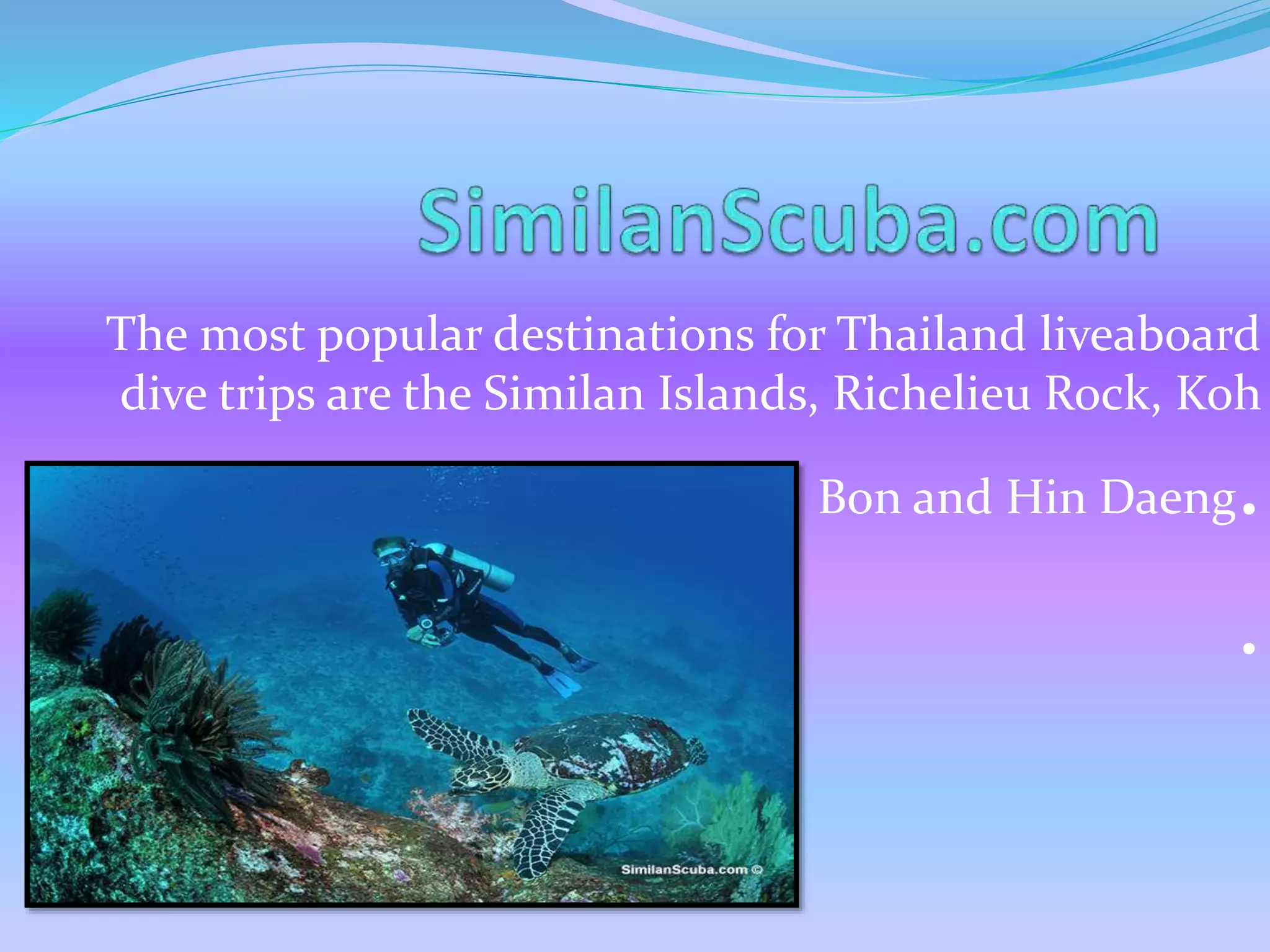 Similan Diving Liveaboard | PPT