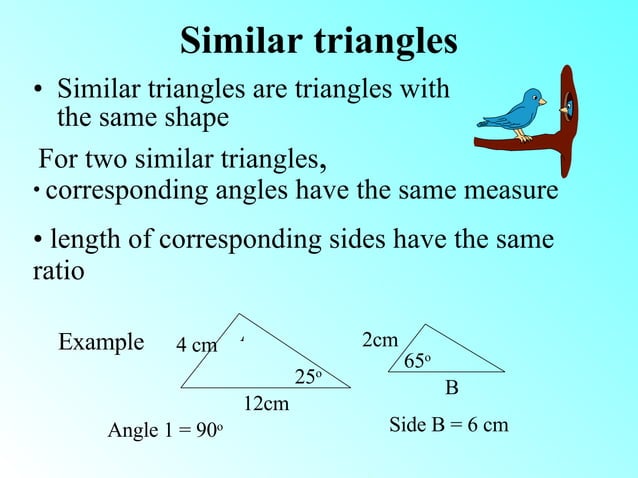 Similar Triangles Notes | PPT