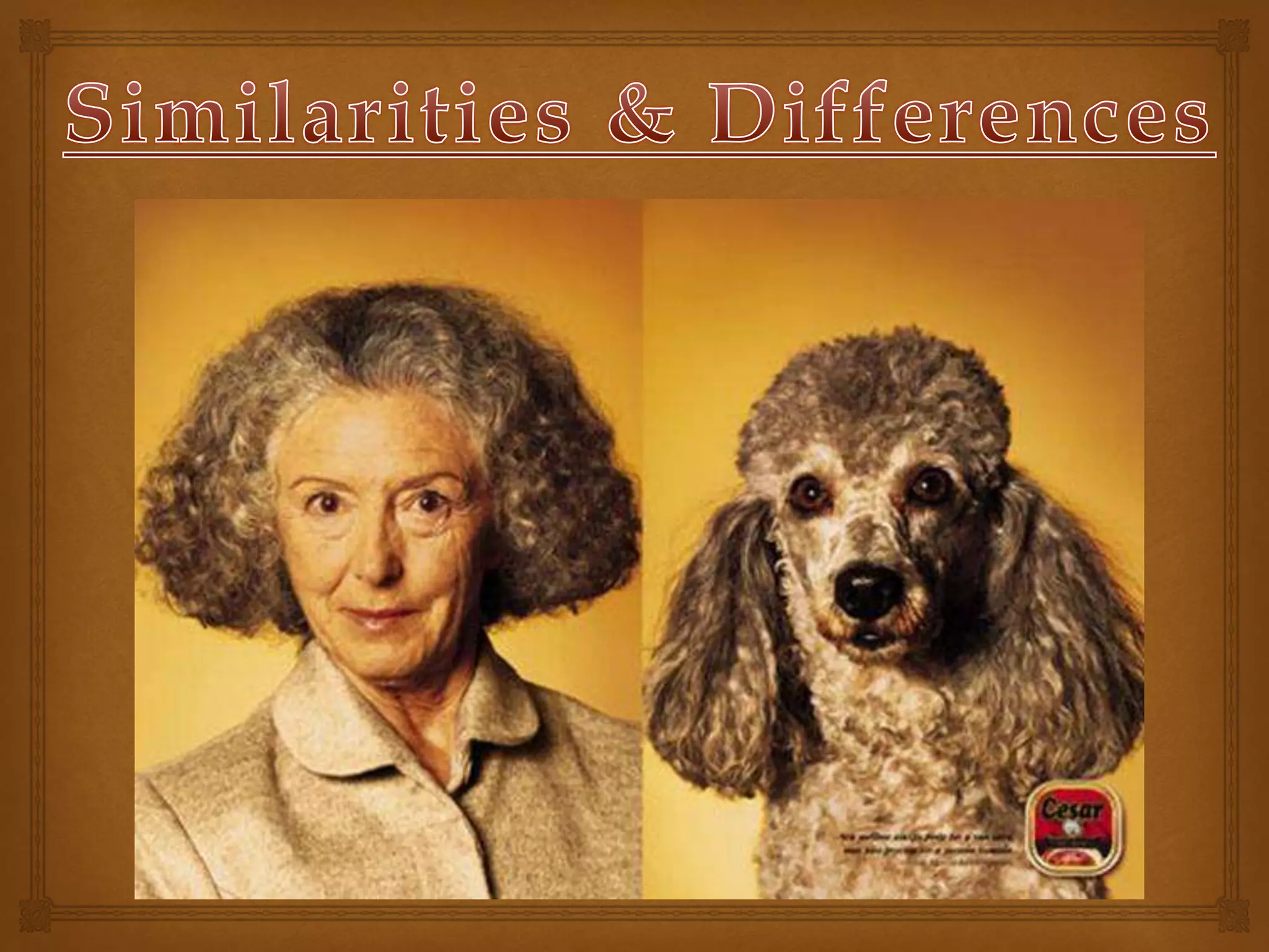 Learning Similarities and differences | PPT