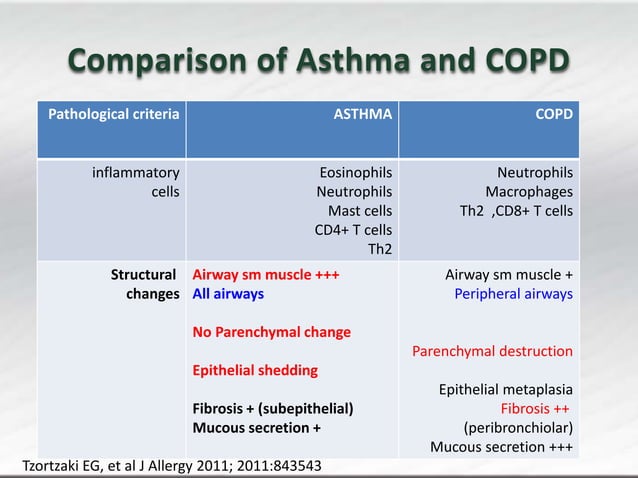 Similarities and differences between asthma and asthma masqueraders ...