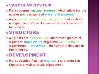 Similarities and dissimilarities of algae and plants | PPTX