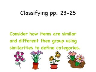 Similarities&Differences2 | PPT