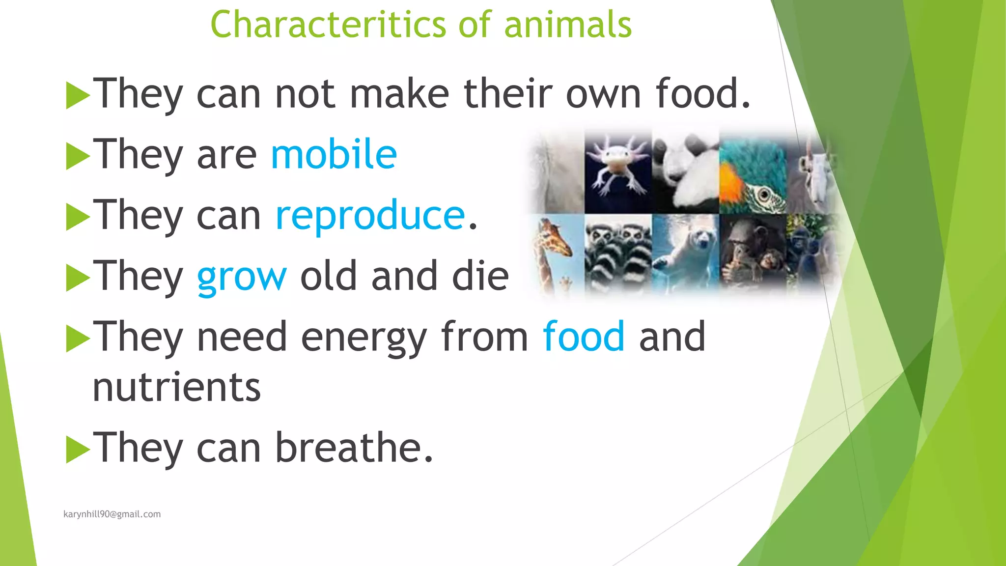 Similarities and differences between plants and animals | PPTX