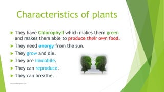 Similarities and differences between plants and animals | PPTX