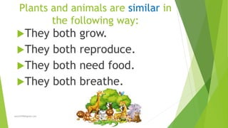 Similarities and differences between plants and animals | PPTX