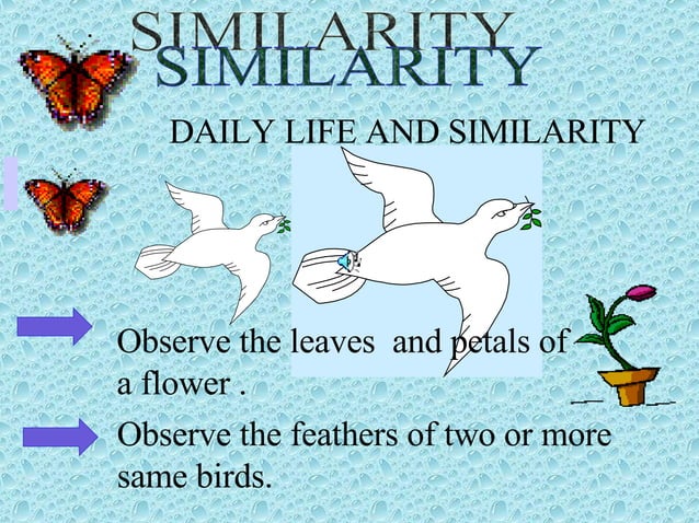 Similarity | PPT