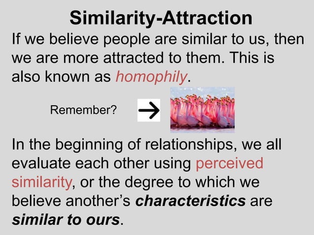 Similarity and interpersonal attraction | PPTX