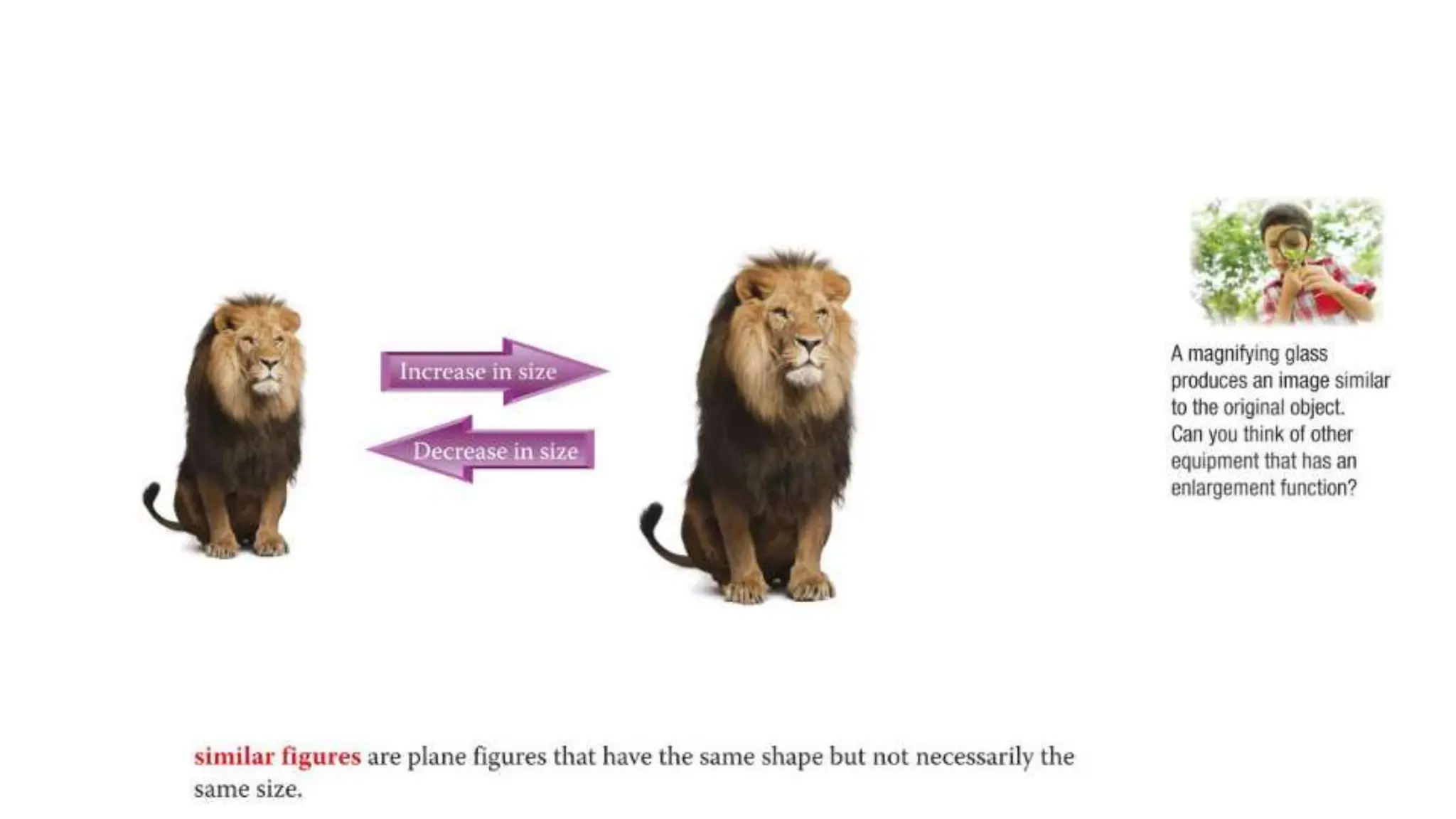 Mathematics - Similarity and Map scale.pptx