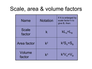 Similar shapes | PPT
