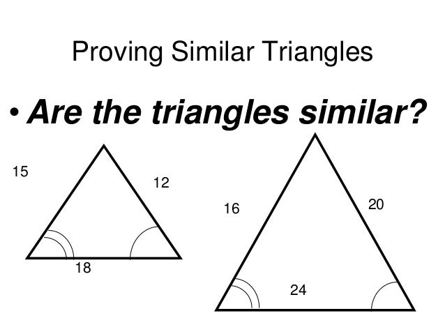 Similar triangles day2