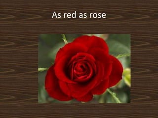 Simile and metaphor | PPTX