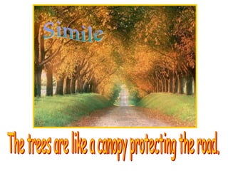 Simile Metaphor Powerpoint