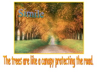 Simile and metaphor powerpoint | PPT