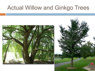 Simile Poems Grade 10 | PPTX | Poetry | Books and Literature