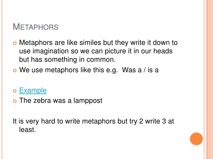 5 sentences about zebra