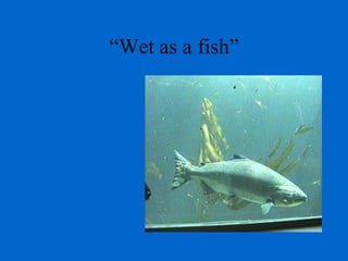 Similies | PPT