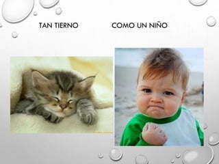 Simil o comparacion | PPTX