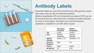Cellular and molecular pharmacology presentation | PPTX