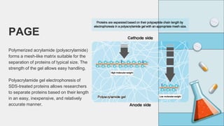 Cellular and molecular pharmacology presentation | PPTX