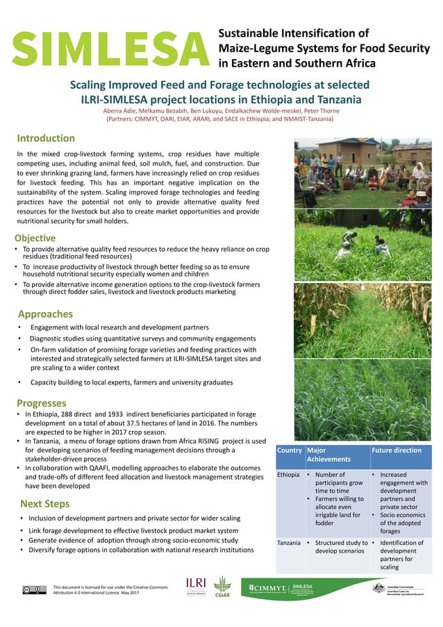 Scaling improved feed and forage technologies at selected ILRI‐SIMLESA ...