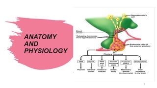 Simmonds Disease | PPTX