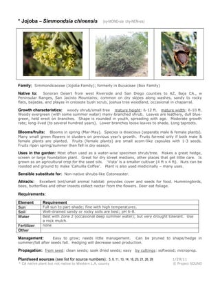 Simmondsia chinensis | PDF