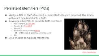 Making DMPs actionable and public | PDF