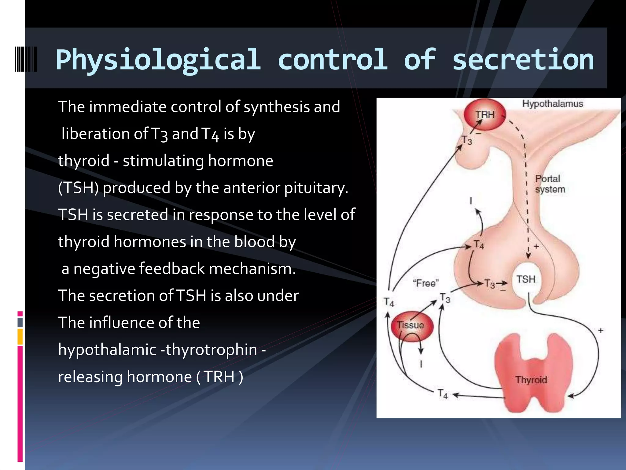 Thyroid Gland - part 1 | PPTX