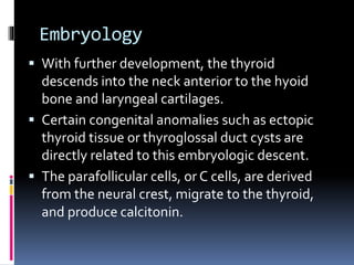 Thyroid Gland - part 1 | PPTX