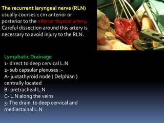Thyroid Gland - part 1 | PPTX