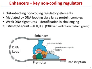 Disease interpretation of whole genome sequence variants | PDF