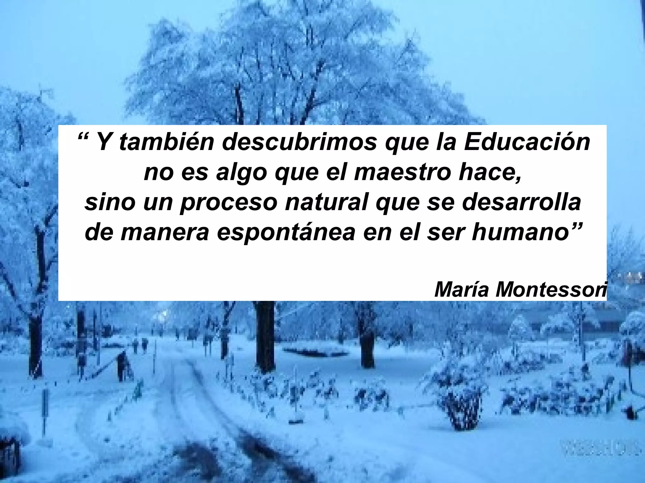 Simon Rodriguez Simon Bolivar Jose Marti | PPT