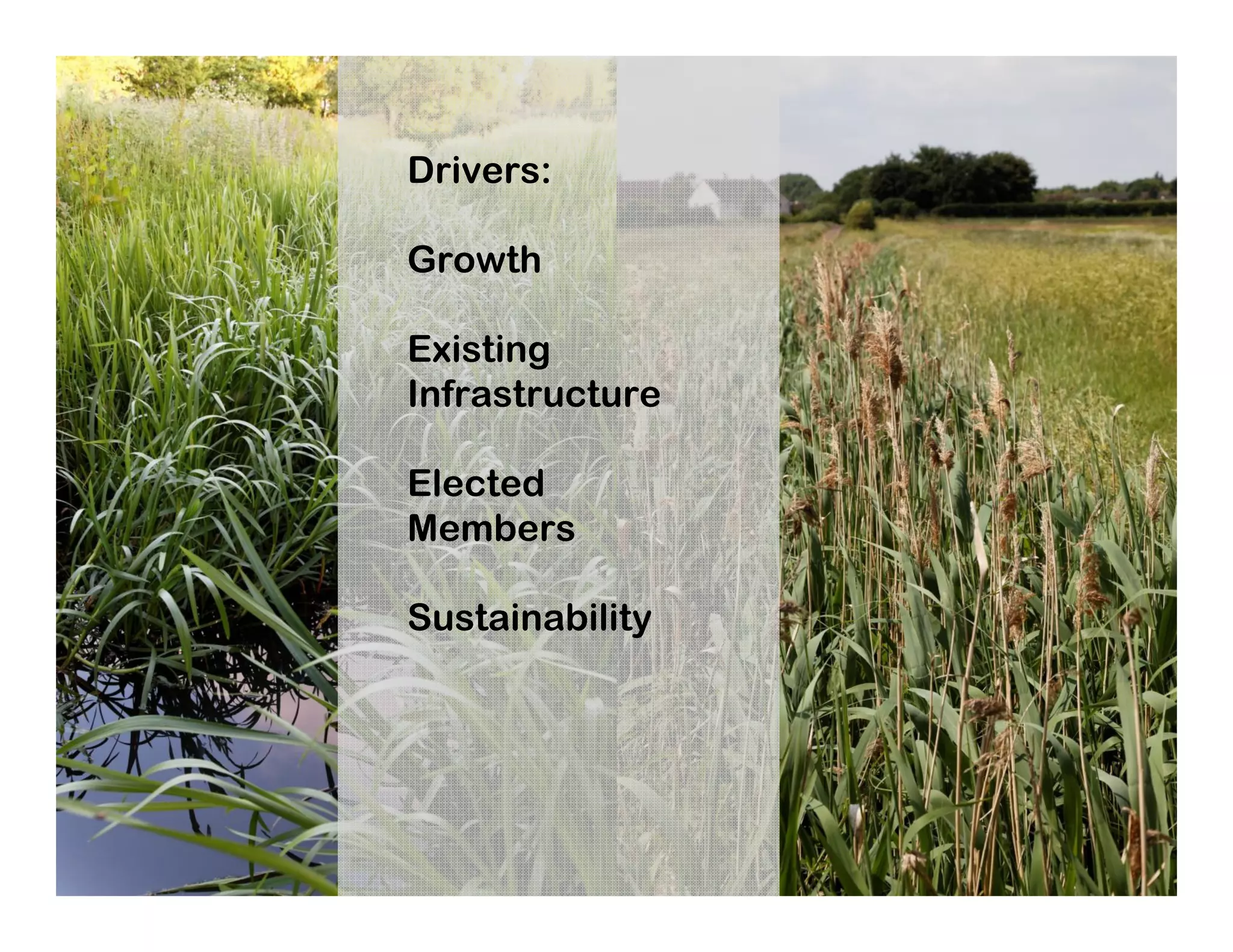 Case Study - Sustainable Drainage Design and Adoption Guide with ...