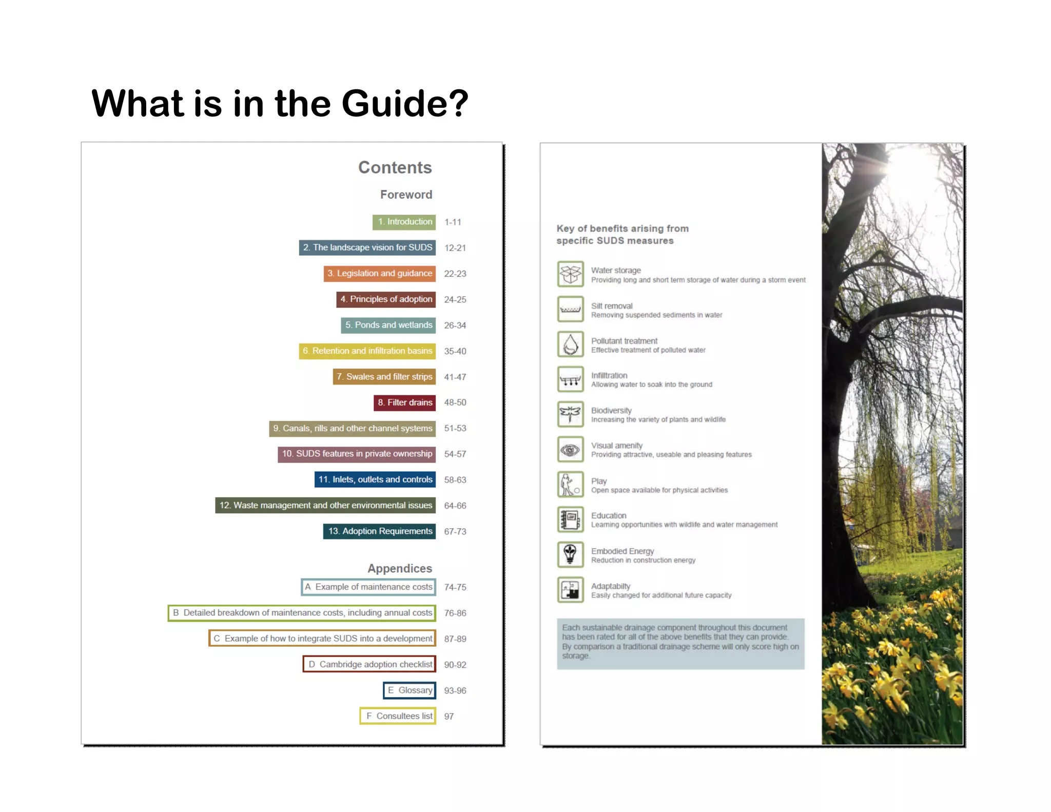 Case Study - Sustainable Drainage Design and Adoption Guide with ...