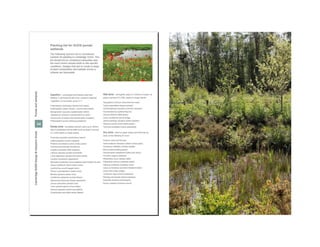 Case Study - Sustainable Drainage Design and Adoption Guide with ...