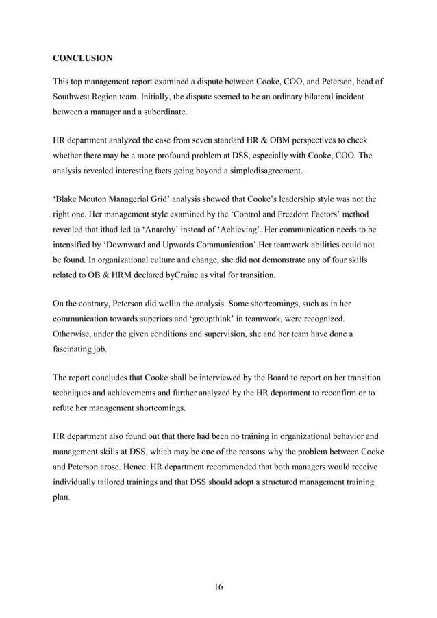 Simon riha dss report - ms word2010 | PDF